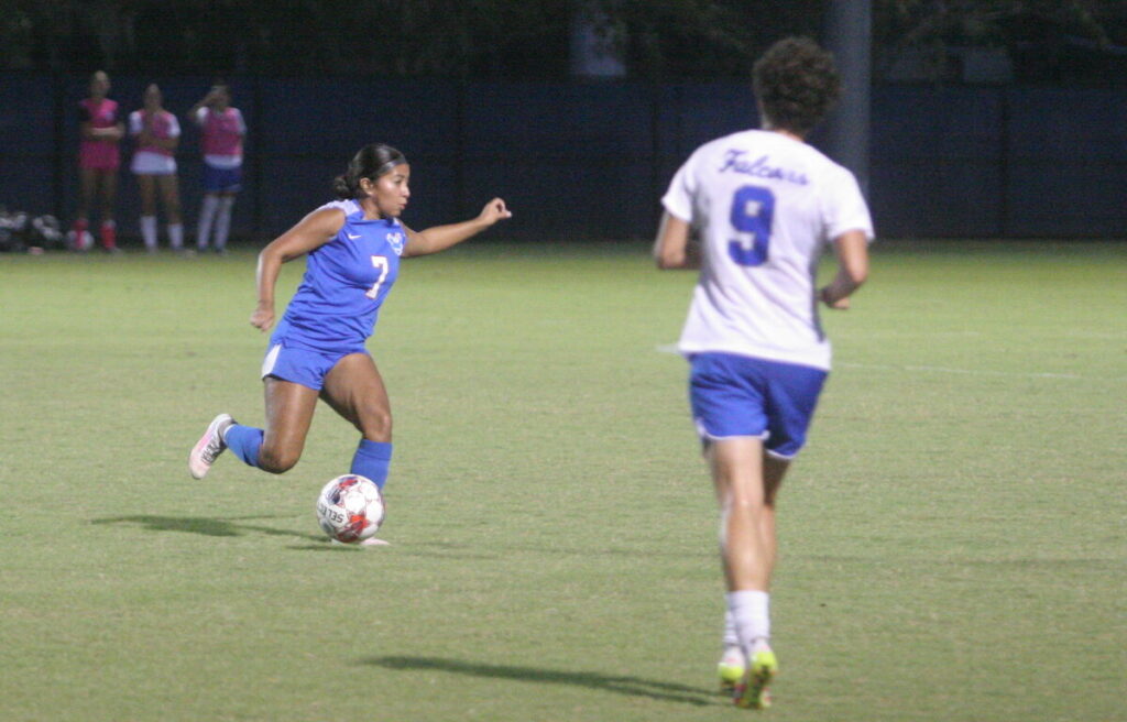 Championship Saturday: SGSC Hawks face Gordon State Highlanders for ...
