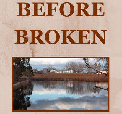 South Georgia native Crystal Bostick announces homecoming book tour for ...
